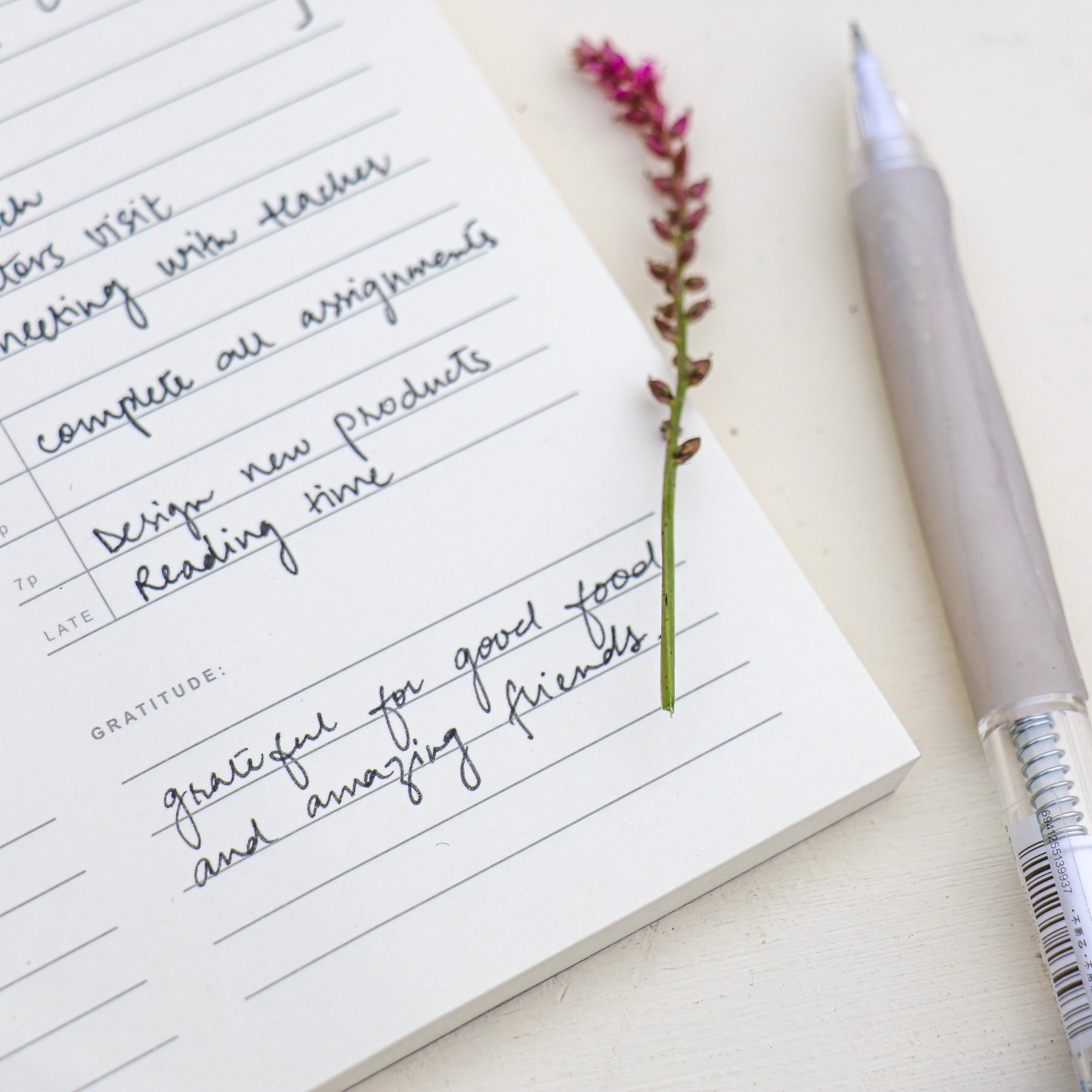 Daily Overview Notepad – The Bind Company